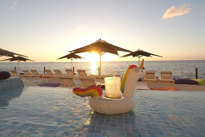 Cozumel Private Van Service with Snorkel Tour - Authentic Insights from Reviews