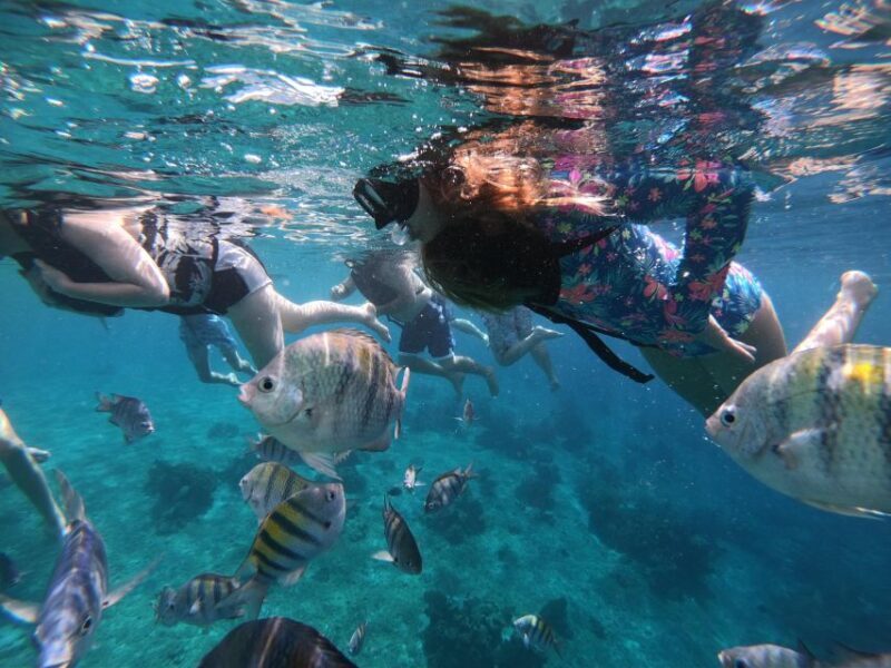 Cozumel: Private VIP Glass Bottom-Boat and Snorkeling Tour - FAQ