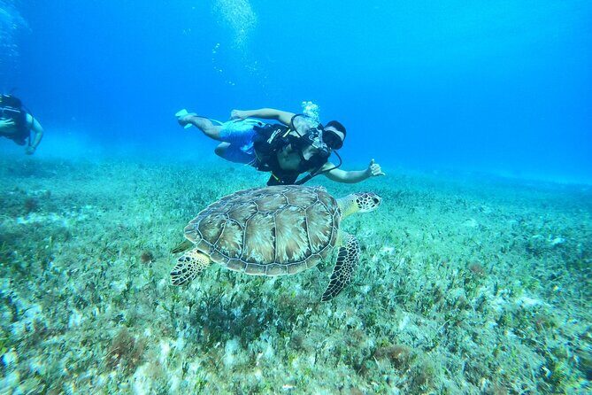 Cozumel Scuba Dive at Chankanaab - Price and Value Analysis