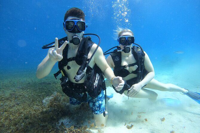 Cozumel Scuba Dive at Chankanaab - Who Should Book This Tour?