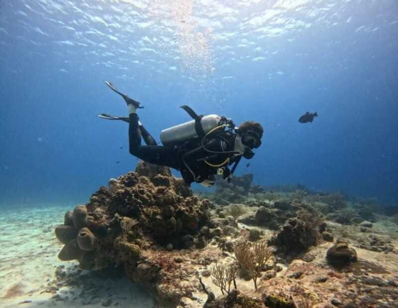 Cozumel Scuba Diving: 2 Tanks in the National Park for certified divers - Frequently Asked Questions (FAQs)