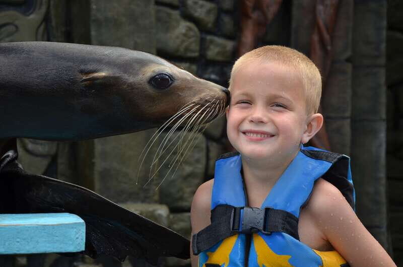 Cozumel: Sea Lion Program at Chankanaab Beach Adventure Park - What to Expect During the Program