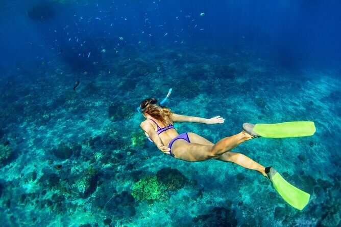 Cozumel Sea Safari Snorkeling Tour - The Logistics and Comforts