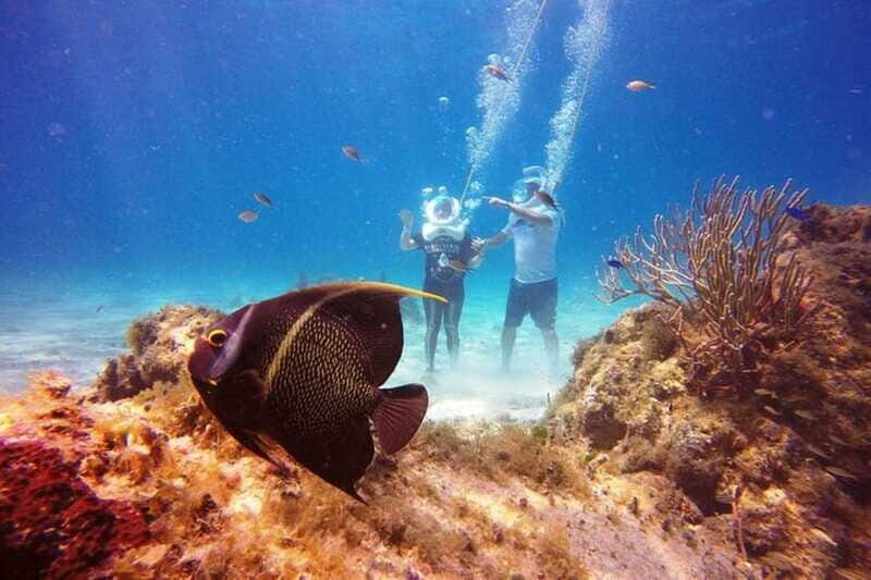 Cozumel: Sea Trek Adventure at Chankanaab National Park - Who Should Consider This Tour?