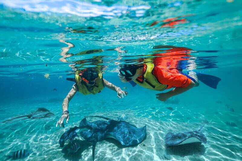 Cozumel: Snorkel and Swim with Stingrays - The Sum Up