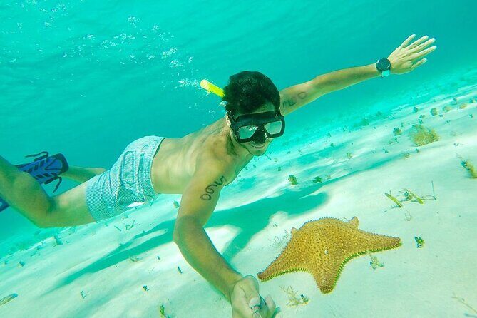 Cozumel Snorkel at El Cielo & 2 Reefs! Transportation from Tulum - Pricing and Value