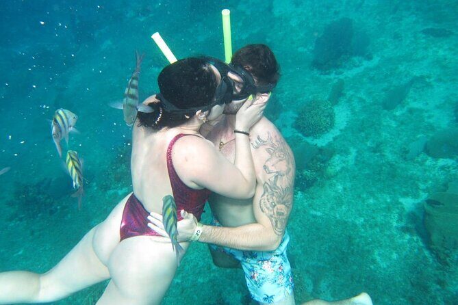 Cozumel Snorkel at El Cielo & 2 Reefs! Transportation from Tulum - What Could Be Improved?