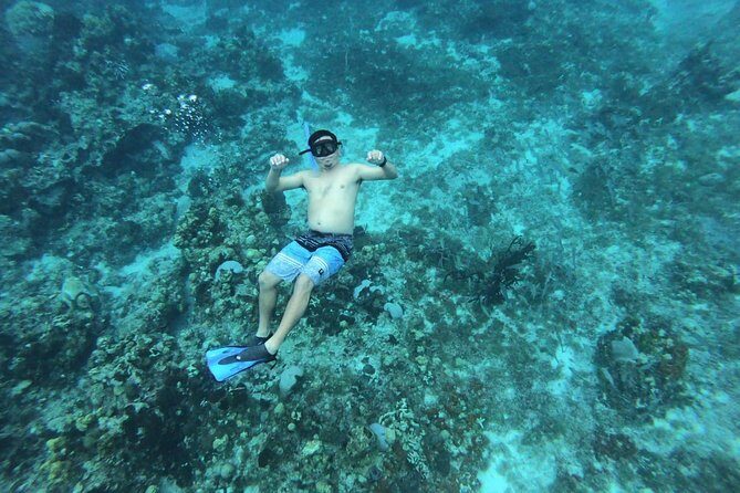 Cozumel Snorkel Nature Experience! Transportation from Cancun & Playa Del Carmen - What Travelers Say