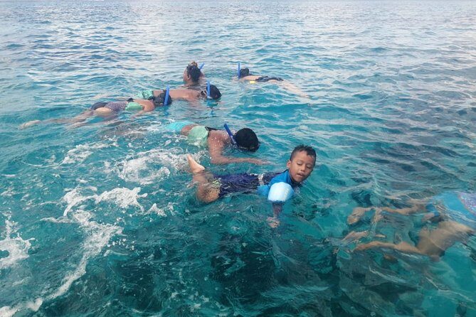 Cozumel Snorkel Nature Experience! Transportation from Cancun & Playa Del Carmen - FAQ