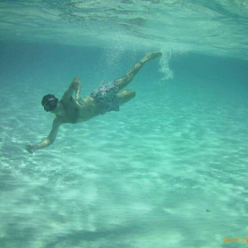 Cozumel: Snorkel Tour to El Cielo, Palancar, and Colombia - Key Points