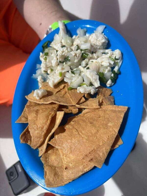 Cozumel: Snorkel Tour to El Cielo, Palancar, and Colombia - FAQ