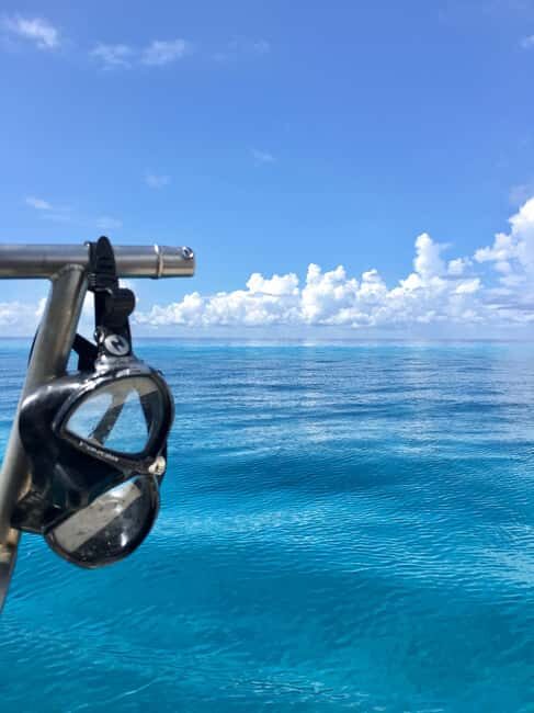 Cozumel: Snorkeling Boat Tour - Is This Tour Worth the Price?