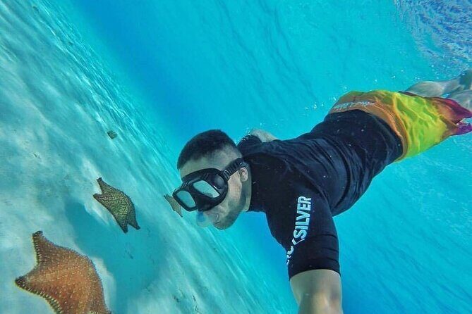 Cozumel Snorkeling Experience! El Cielo Reef from Cancun & Playa del Carmen - Cozumel Snorkeling Experience! El Cielo Reef from Cancun & Playa del Carmen—A Detailed Review