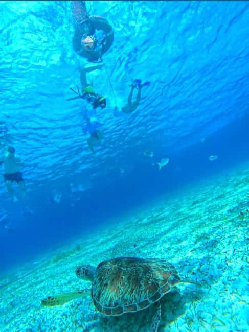 Cozumel: snorkeling on reefs + visit to "El Cielo" - A Full Breakdown of the Experience