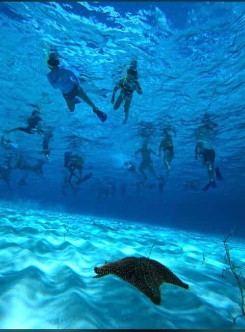 Cozumel: snorkeling on reefs + visit to "El Cielo" - Who Is This Tour Best For?