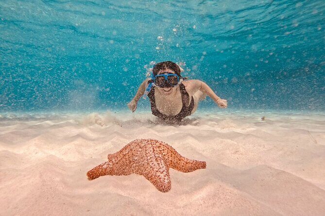 Cozumel Snorkeling to Palancar & El Cielo with drinks & Snack - The Itinerary Breakdown: What You Can Expect