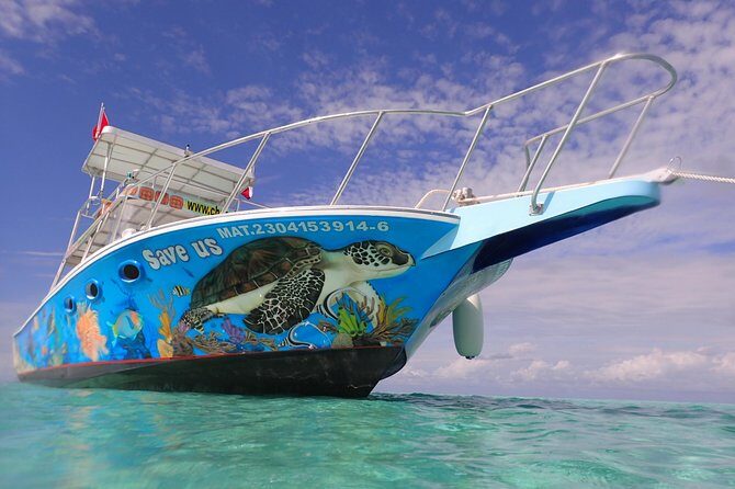 Cozumel Snorkeling Tour at Palancar & Colombia Reefs and El Cielo - The Itinerary: What You Can Expect