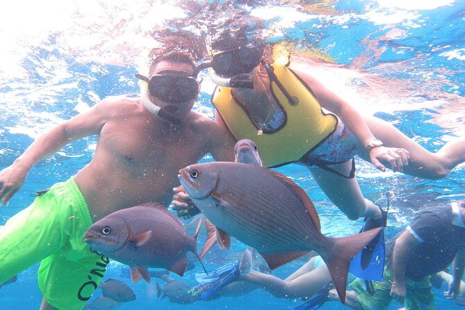 Cozumel Snorkeling Tour at Palancar & Colombia Reefs and El Cielo - The Sum Up