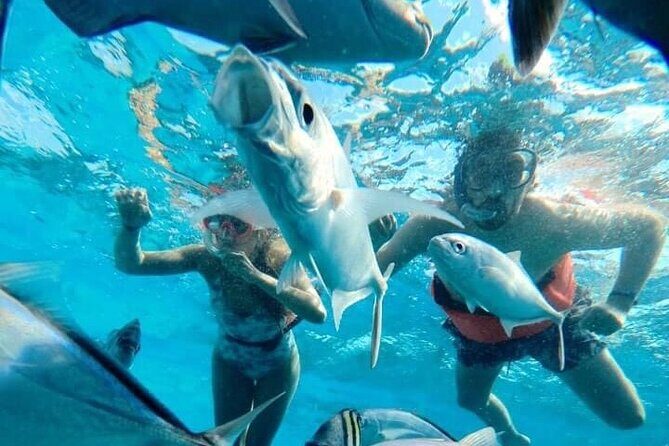 Cozumel Snorkeling Tour: Palancar, Columbia and El Cielo Reefs - Final Thoughts