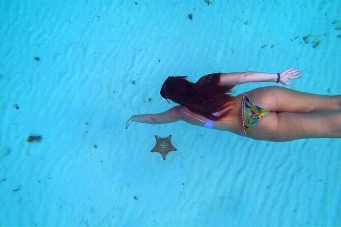 Cozumel Snorkeling Tour: Palancar, Columbia and El Cielo Reefs - FAQ