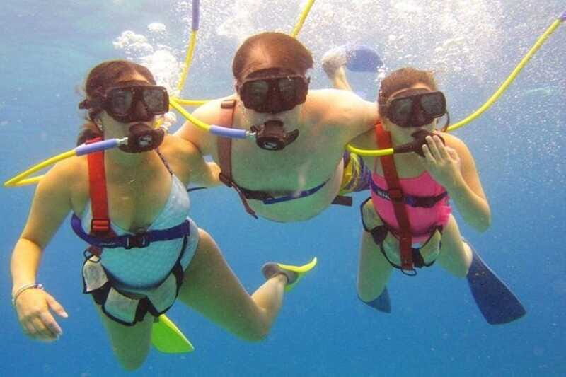 Cozumel: SNUBA Cozumel Underwater Adventure - The Beauty of Cozumel’s Marine Life