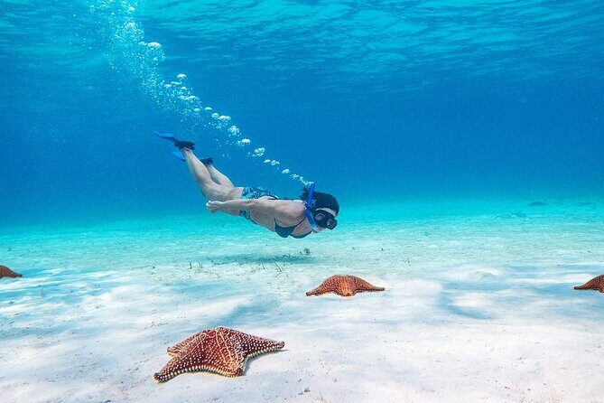 Cozumel Starfish and Tropical Reef Snorkeling by Powerboat with Lunch - FAQ