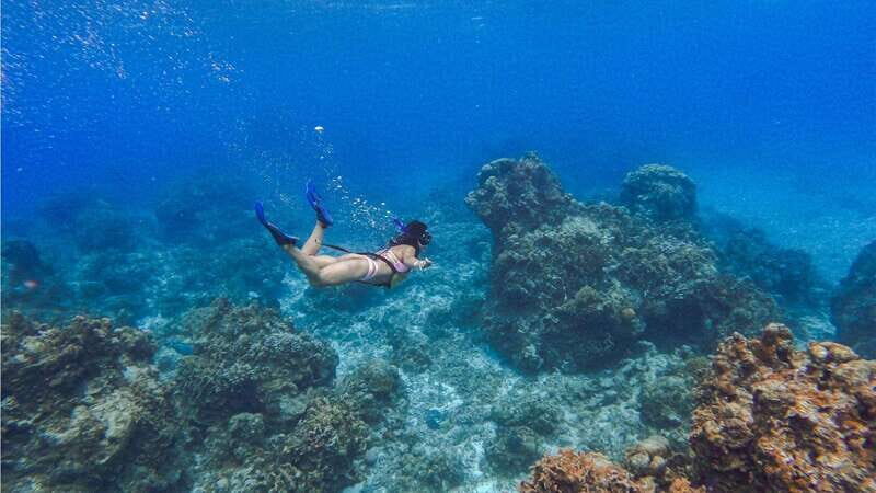 Cozumel: Transparent bottom boat tour and snorkeling activity. - Key Points