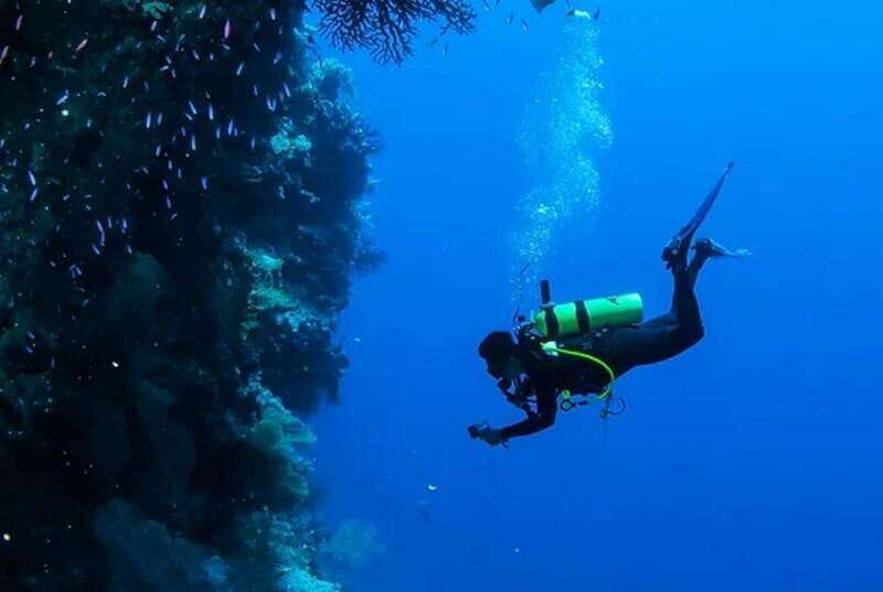 Cozumel: Twilight and Night Dive for Certified Divers - Introduction and First Impressions