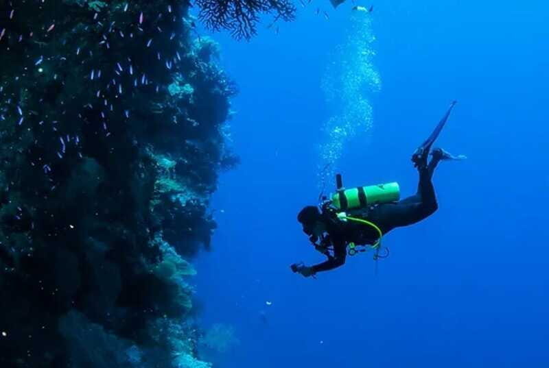 Cozumel: Twilight and Night Dive for Certified Divers - Authentic Experiences and Tips from Reviewers