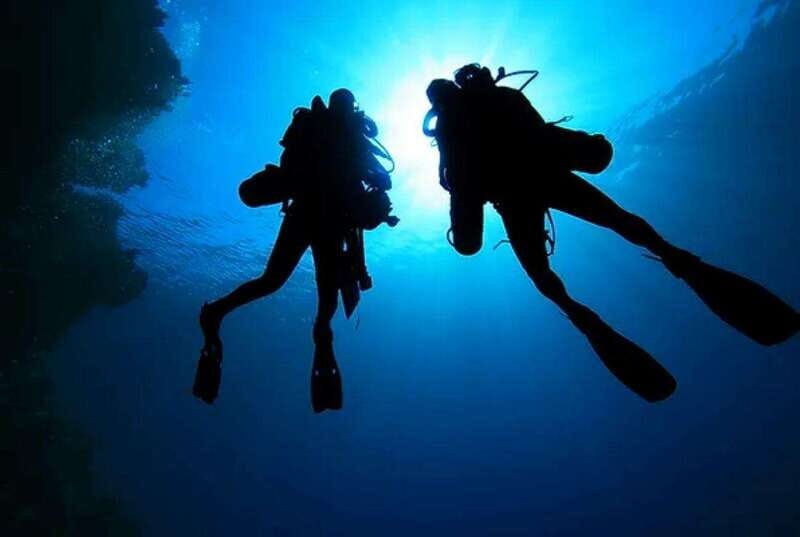 Cozumel: Twilight and Night Dive for Certified Divers - Who Should Consider This Experience?