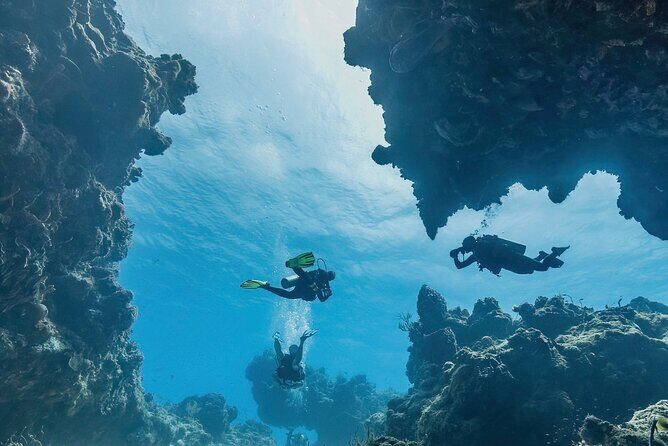 Cozumel underwater 2 Tank Dive by boat - The Itinerary: What to Expect on Your Cozumel Underwater Adventure