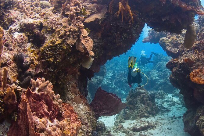 Cozumel underwater 2 Tank Dive by boat - Price and Value: Is It Worth It?