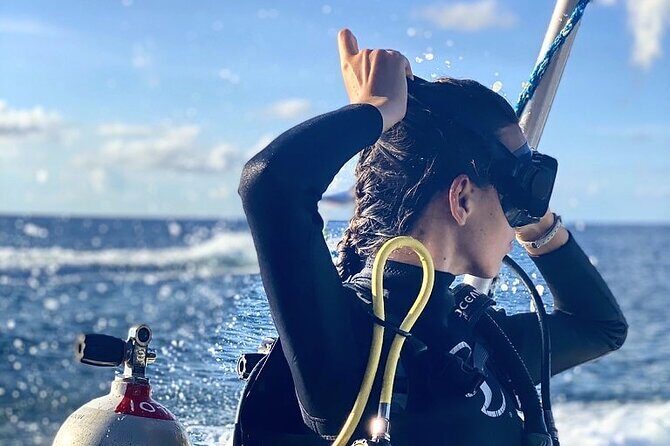 Cozumel underwater 2 Tank Dive by boat - Who Should Consider This Tour?