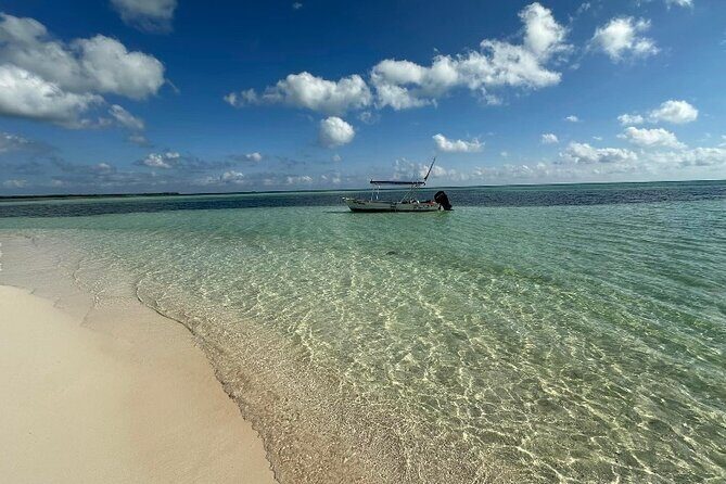 Cozumel Unique Buggy Adventure Five Hour Tour - Final Thoughts: Why Choose This Buggy Adventure?