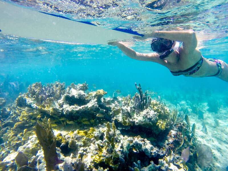 Cozumel: West Coast E-Bike and Snorkeling Tour - FAQ