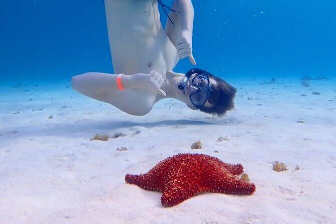 Cozumel's Best: Snorkel Adventure in El Cielo and El Cielito - Final Thoughts