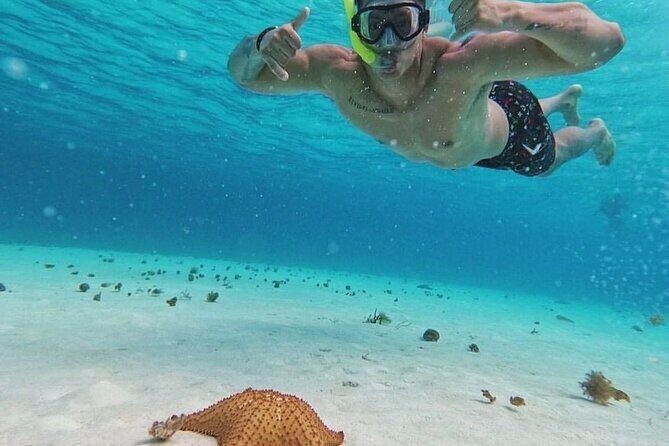 Cozumel's Reefs in El Cielo, Palancar and Columbia Guided Tour - Final Thoughts