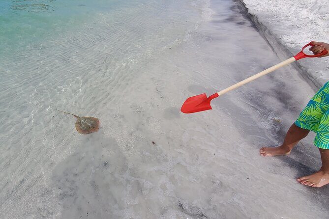 Crab Island Party!! Lily Pad, Paddleboard, Speaker & Cooler - Reviews and Honest Feedback