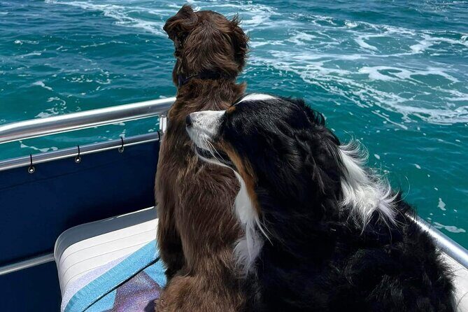 Crab Island Private Captained Charter in Destin - Is This Worth It?