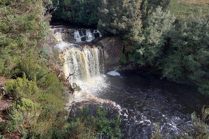 Cradle Mountain: Burnie Shore Excursion - Who Is This Tour Best For?