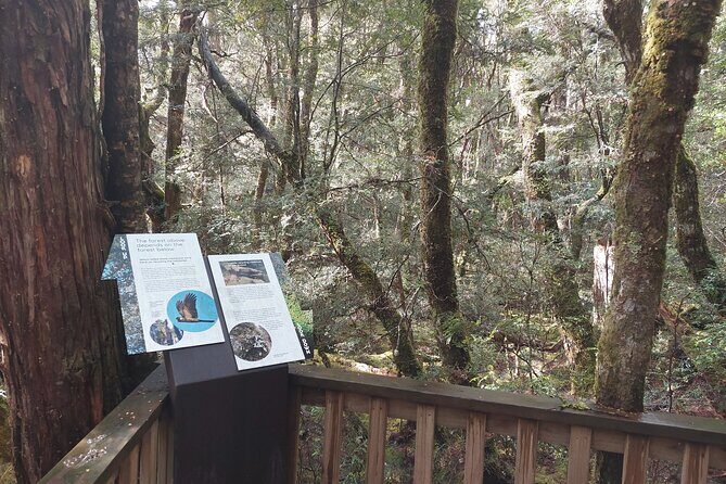 Cradle Mountain: Burnie Shore Excursion - The Sum Up: Who Should Book This Tour?