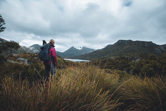 Cradle Mountain Day Tour: Dove Lake Guided Hike with Lunch - Exploring Tasmanian Wilderness: A Review of the Cradle Mountain Day Tour with Dove Lake Hike