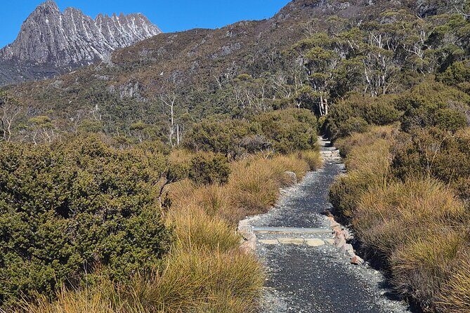 Cradle Mountain Day Tour: Dove Lake Guided Hike with Lunch - Final Thoughts: Is It Worth It?