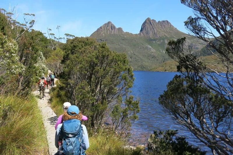 Cradle Mountain: Day Trip from Launceston with Lunch - Key Points