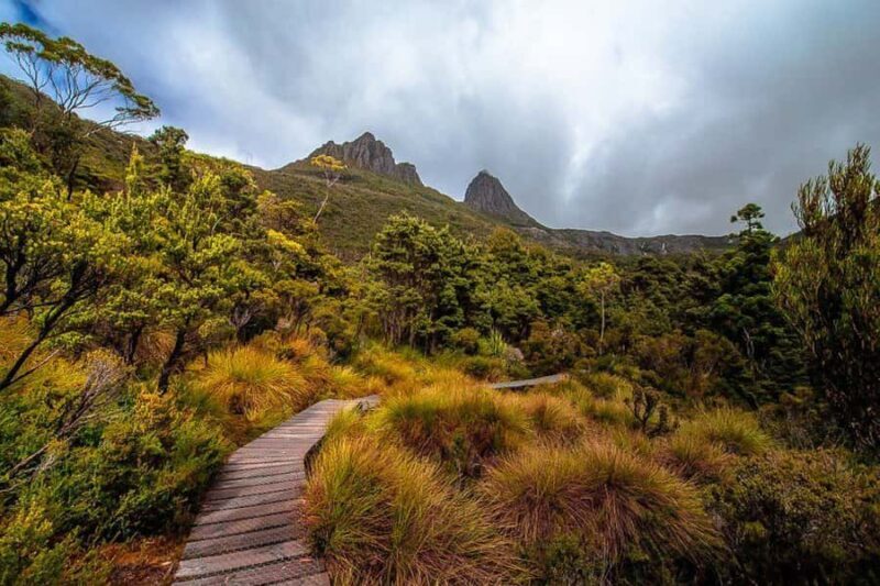 Cradle Mountain: Day Trip from Launceston with Lunch - Pricing and Value