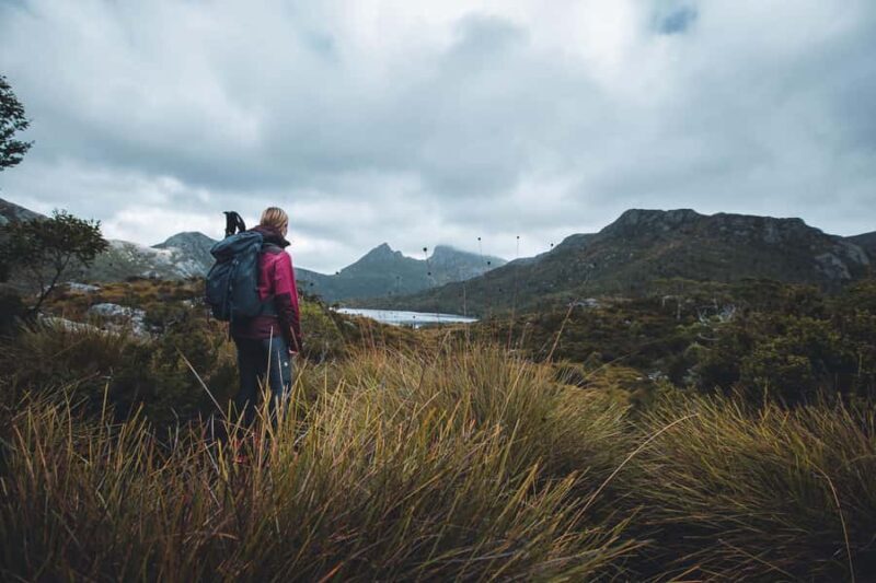 Cradle Mountain: Fully Guided Dove Lake Day Tour with Lunch - Key Points