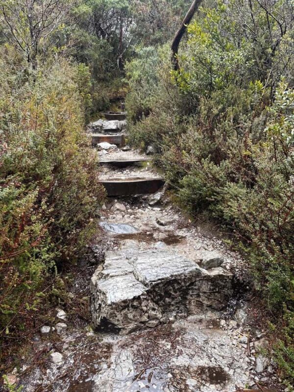 Cradle Mountain: Fully Guided Dove Lake Day Tour with Lunch - Who Will Love This Tour?