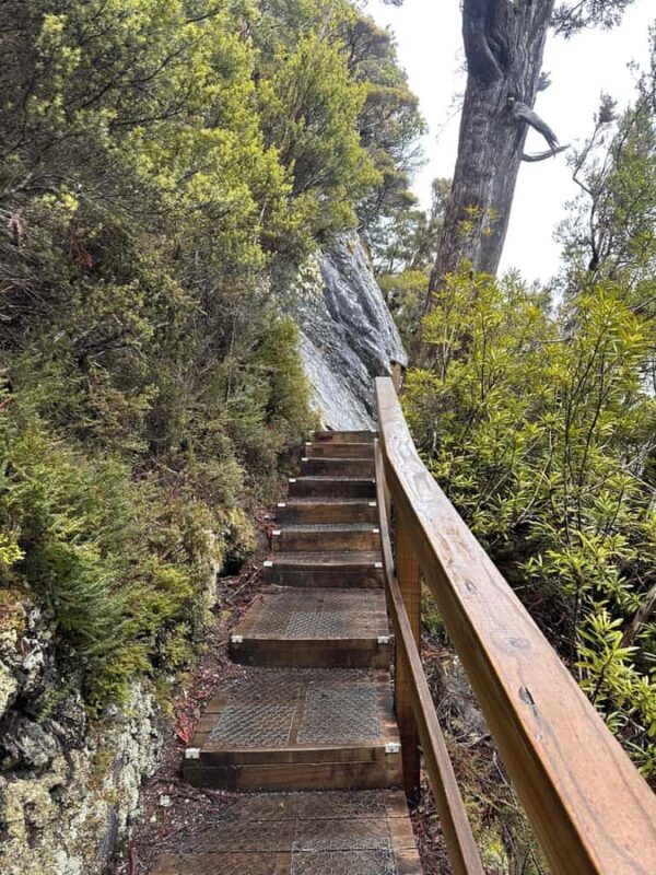 Cradle Mountain: Fully Guided Dove Lake Day Tour with Lunch - The Sum Up