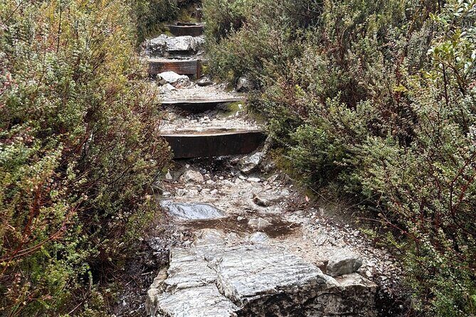 Cradle Mountain Half Day Dove Lake Guided Tour with Lunch - Authentic Insights from Reviewers