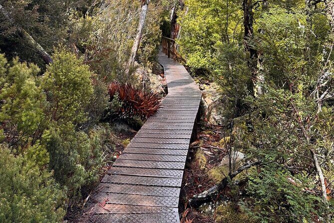 Cradle Mountain Half Day Dove Lake Guided Tour with Lunch - Value and Practicalities